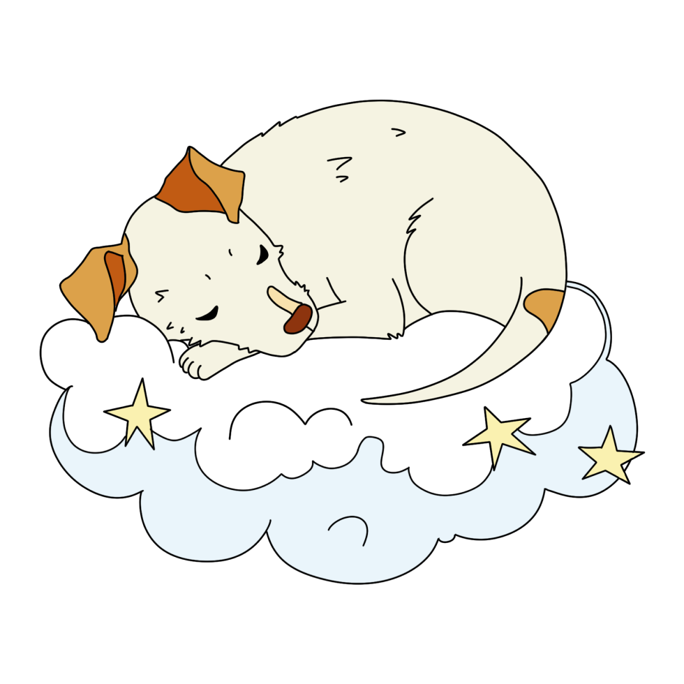 Rychu the dog | PINBOX®