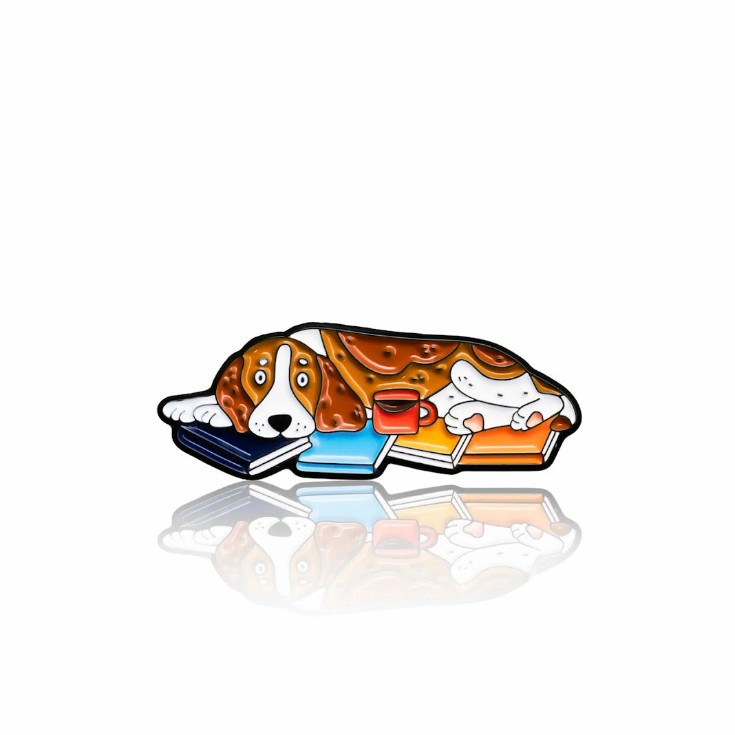 Beagle with books and coffee | PINBOX.EU